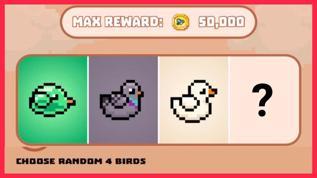 Bird Daily Combo Today 4 February | Bird Combo Today | Daily Combo Bird ...