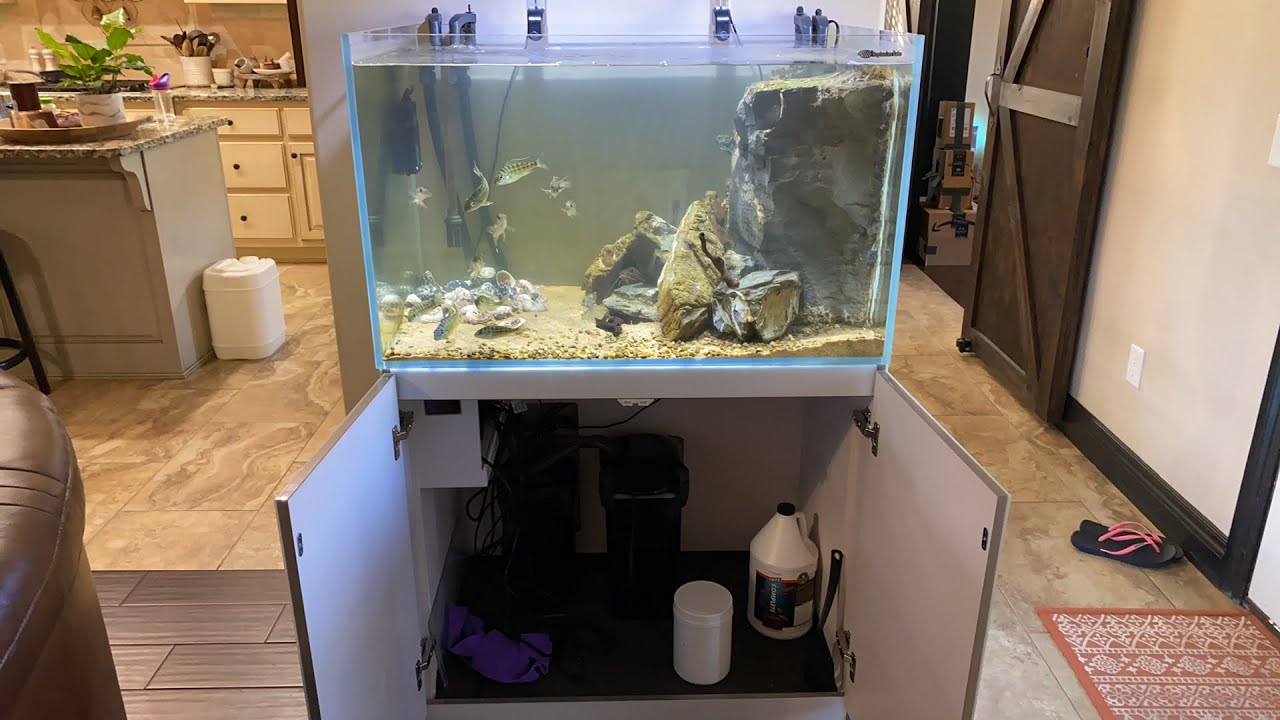 Cleaning a canister filter and why it’s important. - YouTube