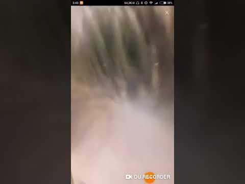 Live Girls In Tube