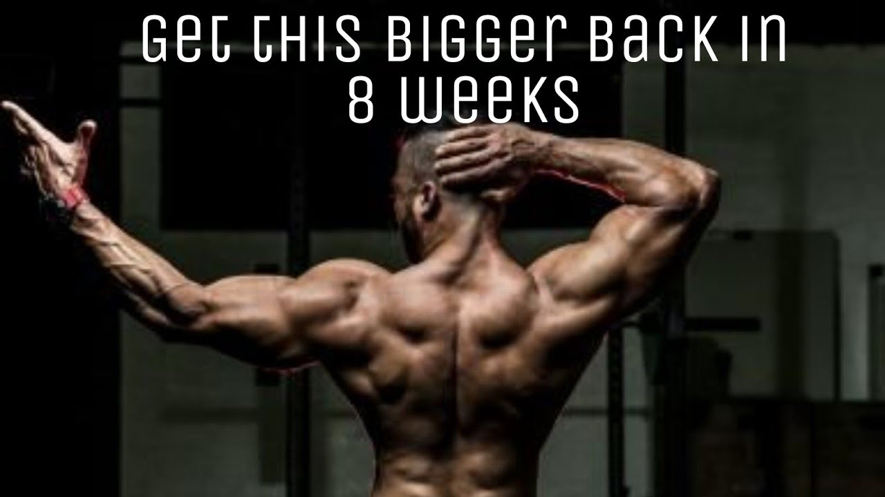 Best workout for back at home - YouTube