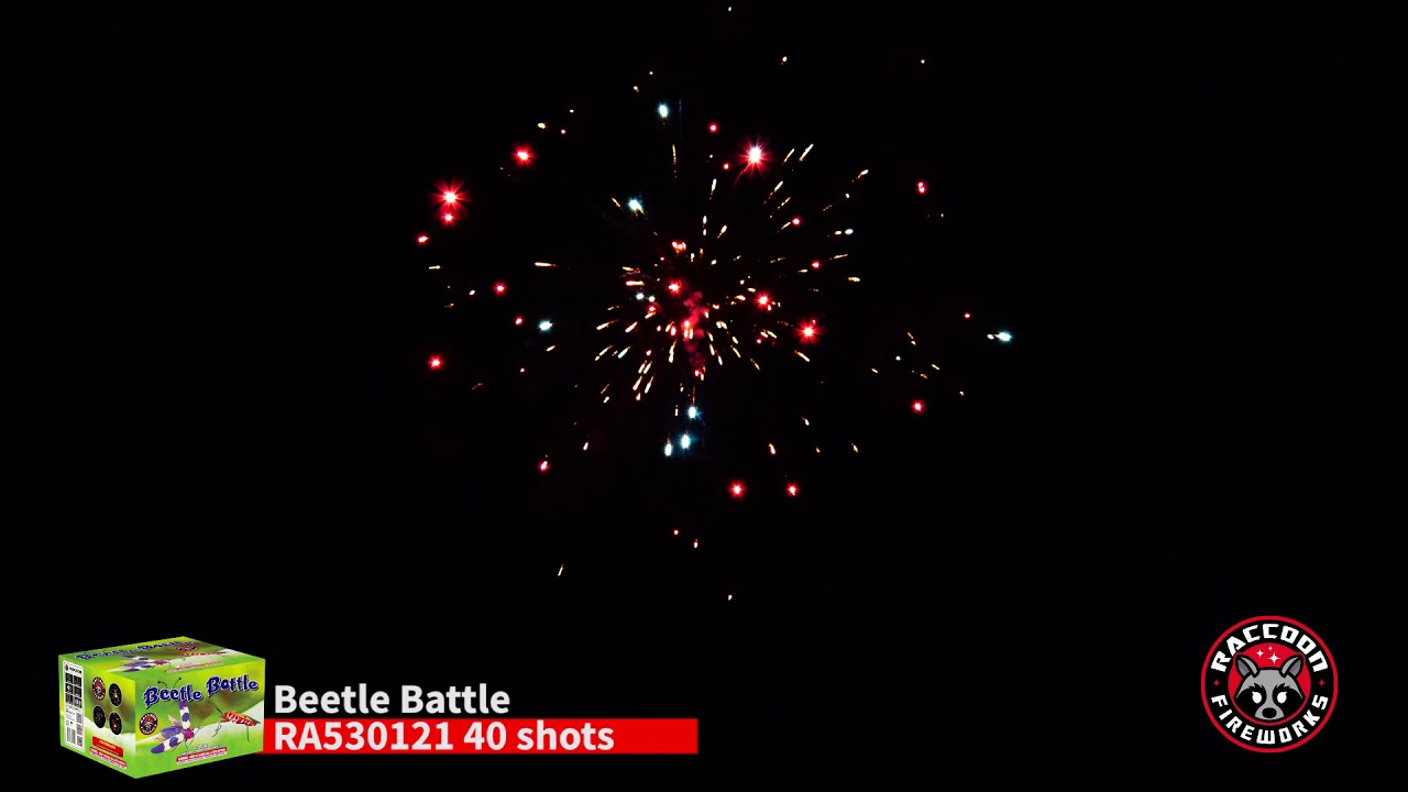 Beetle Battle RA530121 Raccoon Fireworks 2021 New Product 40 shots ...
