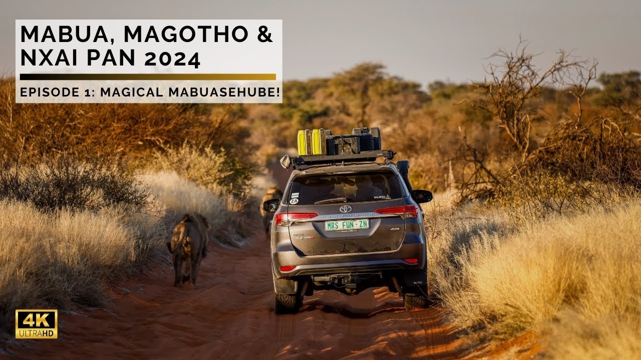Mabua, Magotho & Nxai Pan | Magical Mabuasehube | Episode 1 - YouTube