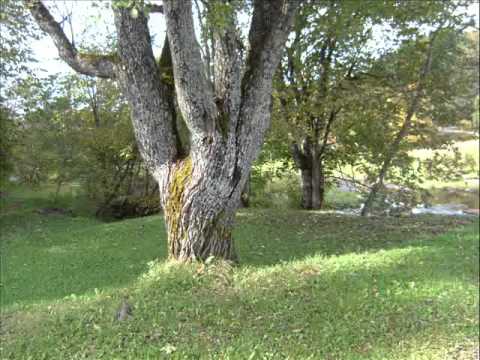 Saule riet aiz kalna gala - YouTube