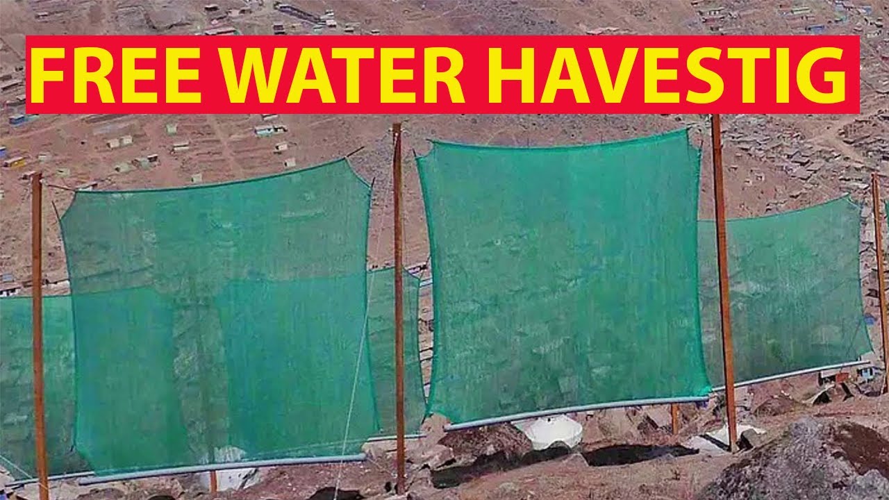 Desert Fog Nets Catch 10,000 Liters Of Water Daily DIY - YouTube