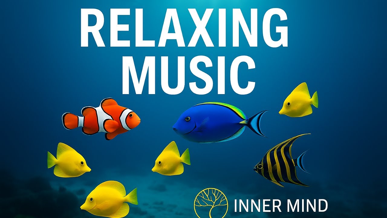 🐠1 Hour of Underwater Relaxation | Calming Fish Sounds & Ambient Music ...