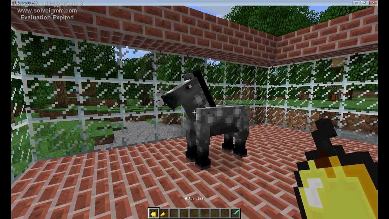 Minecraft | Hayvan Çiftleştirme - YouTube