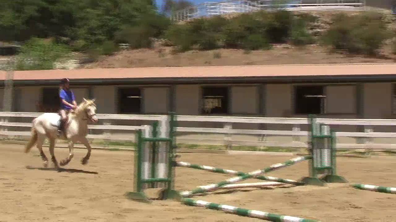 Cross rail jumping course~ Honeymoon and I (: - YouTube