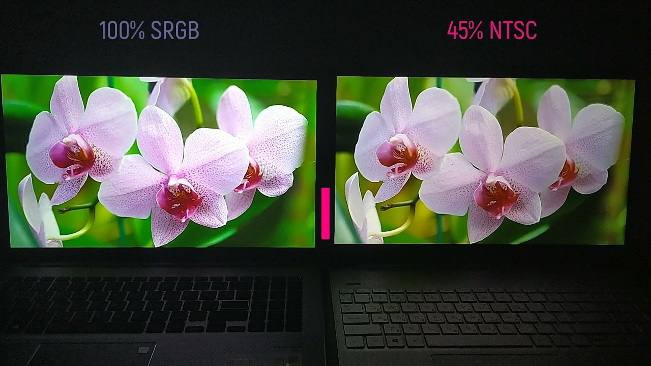  NTSC 45 Vs SRGB 100 NTSC 72 IPS YouTube
