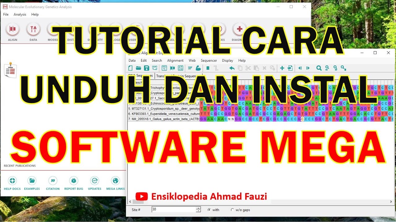 Cara unduh dan install MEGA (Software Analisis Genetika Evolusi ...