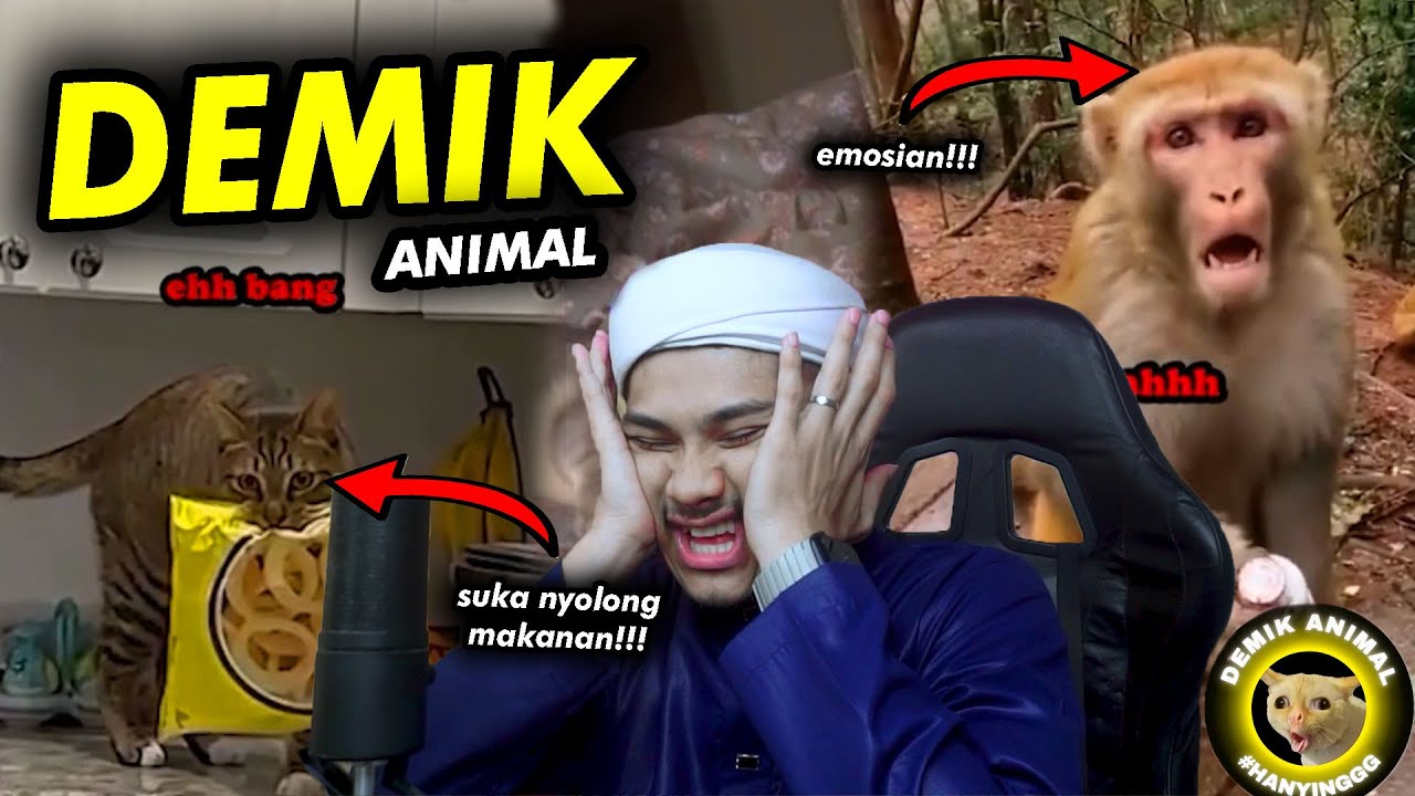NONTON INI DIJAMIN SEMANGAT TERUS PUASANYA🗿🗿🗿Reaction Demik Animal ...