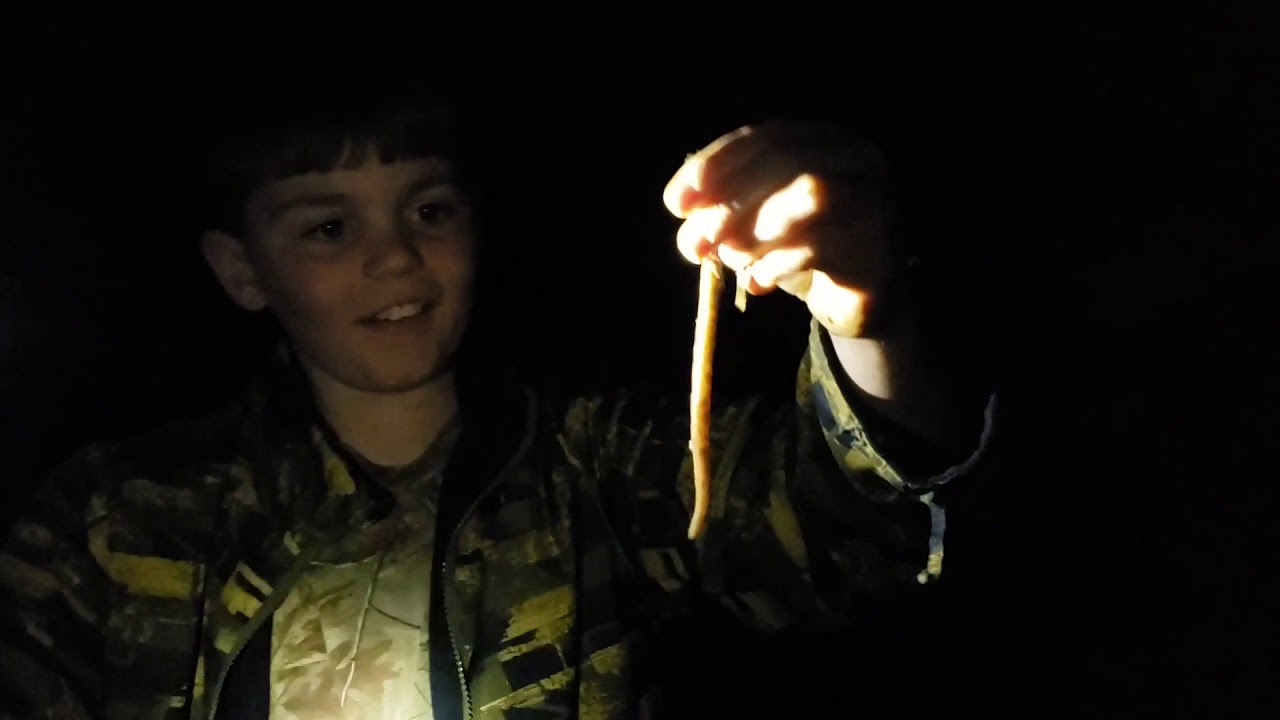 Teaching the Boys how to Hunt Nightcrawlers - YouTube