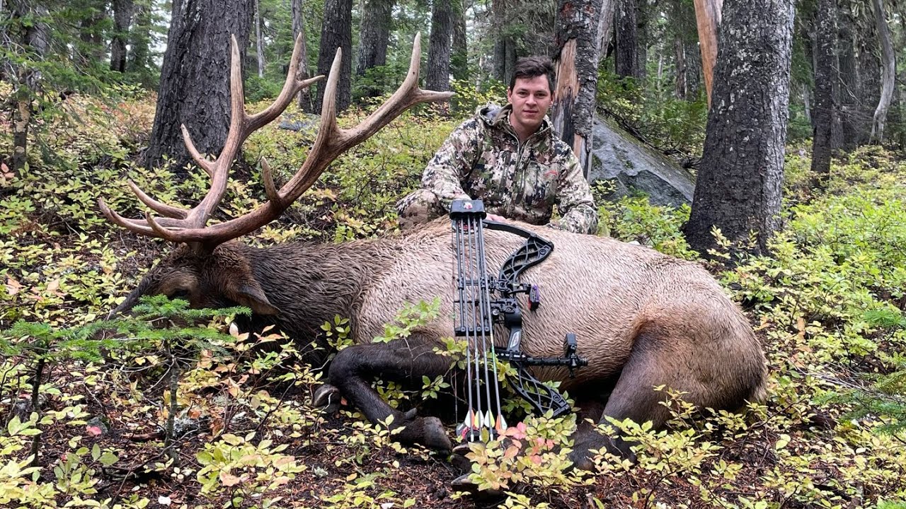 Learn How to Draw Back a Compound Bow - YouTube