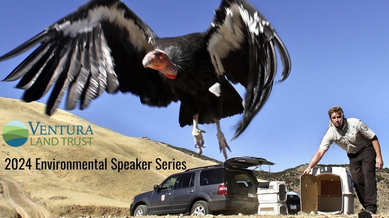 Environmental Speaker Series 2024: Condor Conservation - YouTube