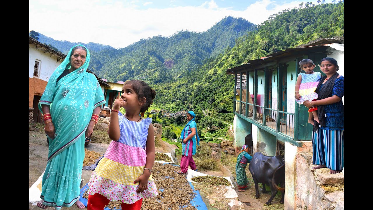 Badiyargarh Village || Rural Life In India || Indian Village Life - YouTube