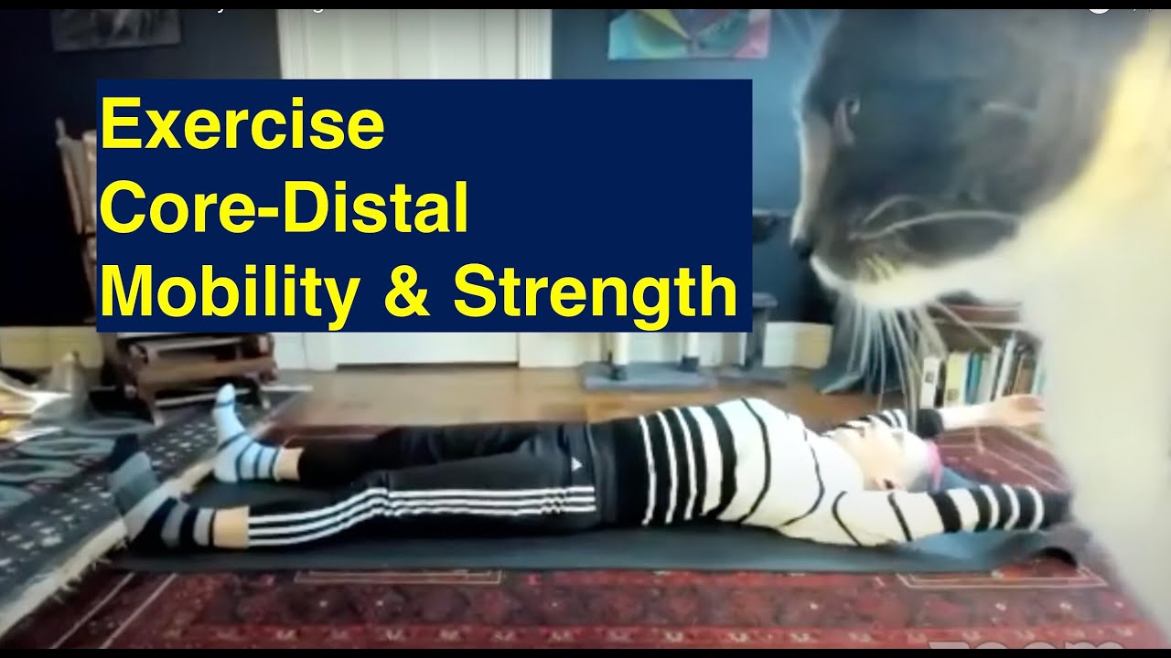 Exercise - Core-Distal Mobility & Strength - YouTube