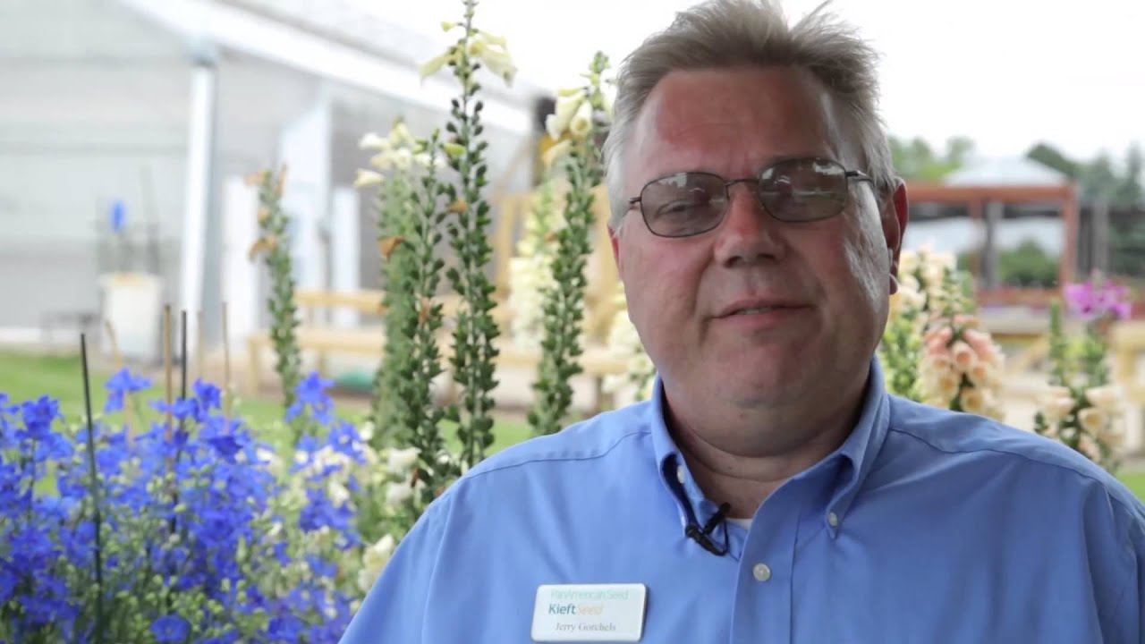 New Varieties from Kieft Seed - 2014 - YouTube