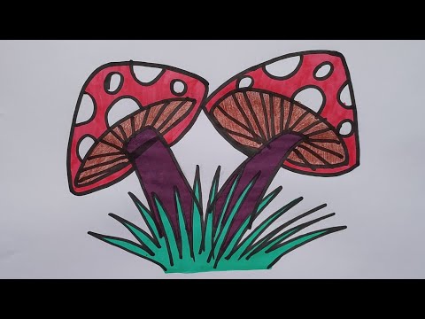 Rəsm - Göbələk Necə Çəkilir - How to Draw Mushroom