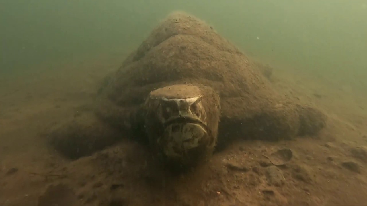 Sandy Channel, Nebraska - YouTube