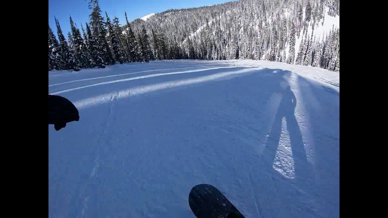 2019 skunk standard short shot - YouTube