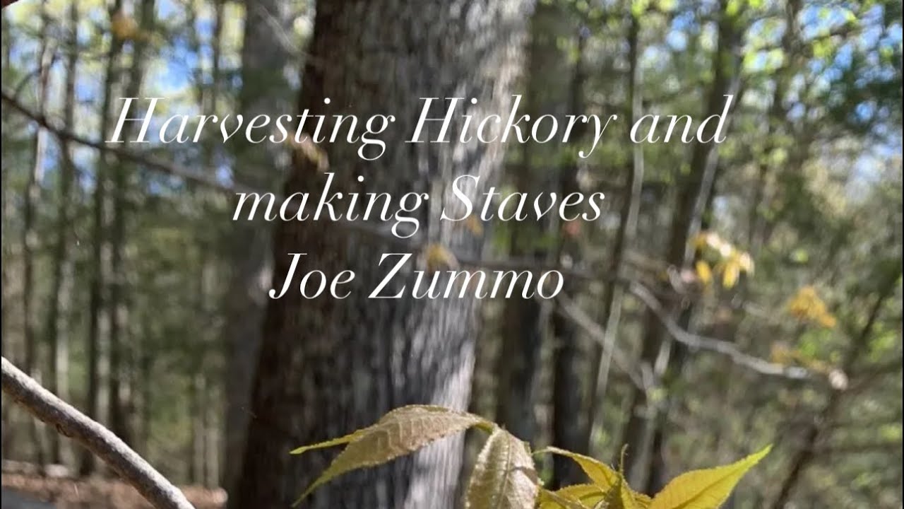 Harvesting Hickory and making Staves. Joe Zummo - YouTube