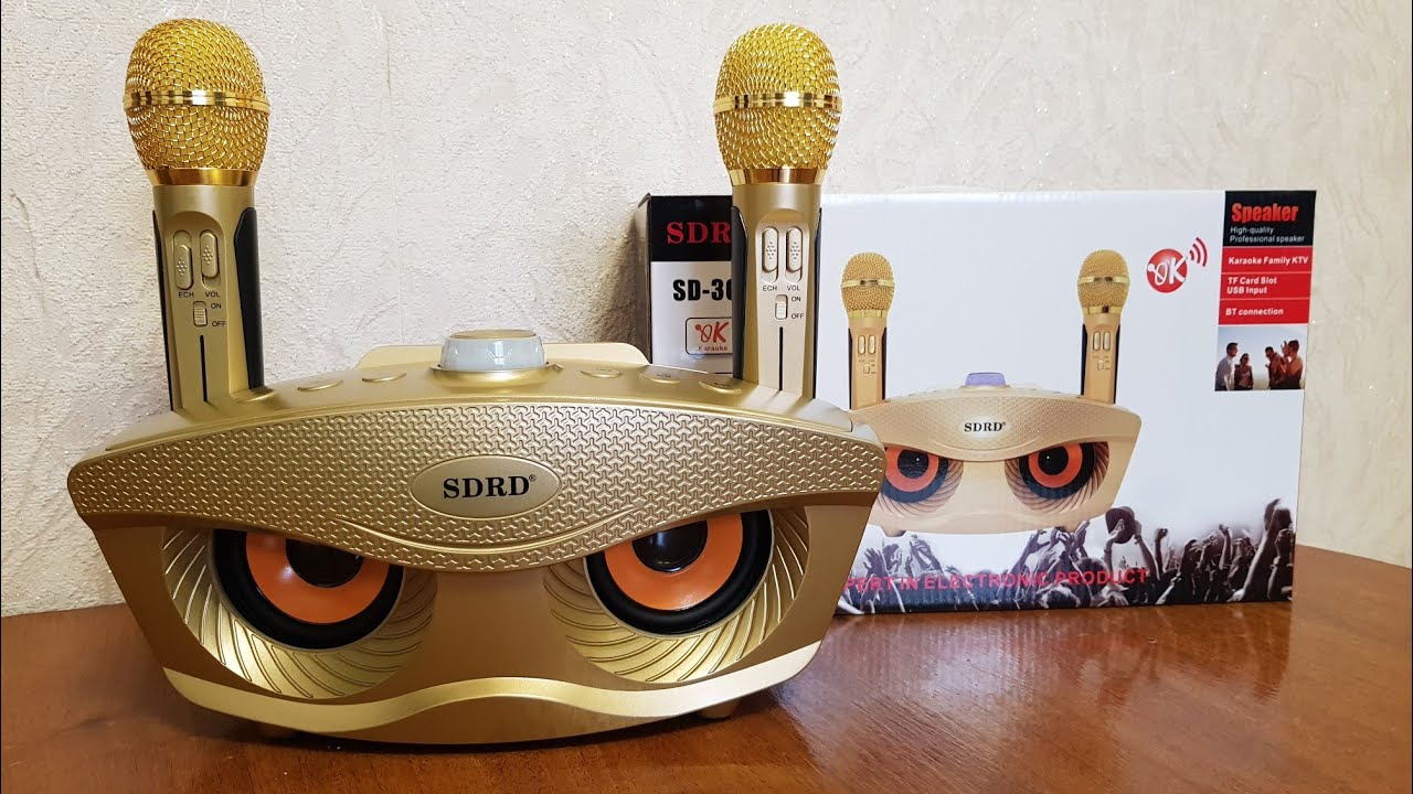 Домашняя система караоке SDRD SD-306 / Home karaoke system SDRD SD-306 ...