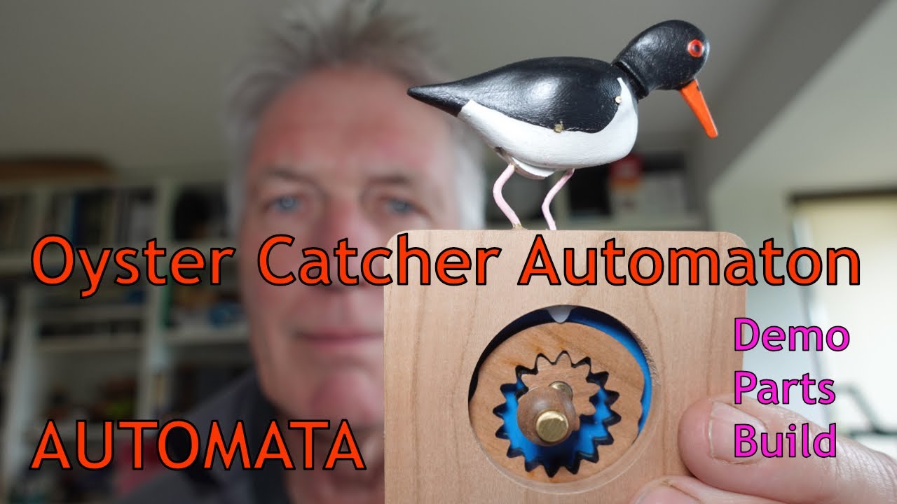 How to make automata. Novel design for a bird automaton. Oystercatcher ...