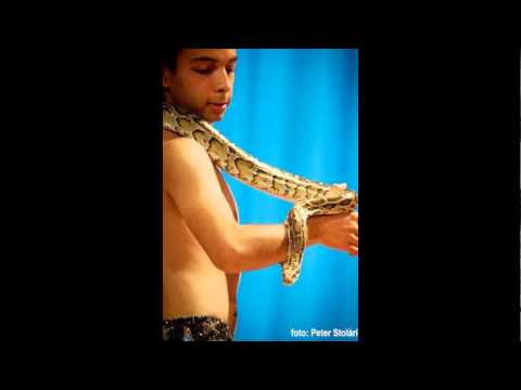 Gabriel Belly dancer