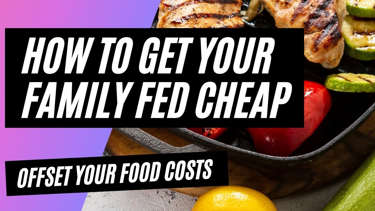 HOW TO GET YOUR FAMILY FED CHEAP, How Can You Afford Organic Food - YouTube