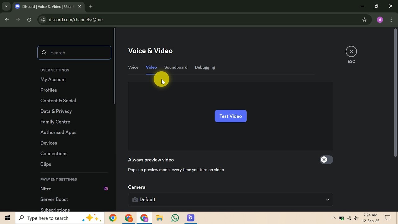 How To Add A Filter To Discord Video Calls - YouTube
