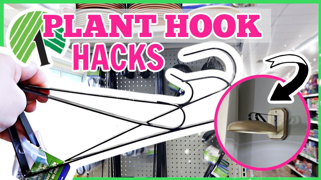 Grab 1 PLANT HOOKS From DOLLAR TREE For These Incredible HACKS And