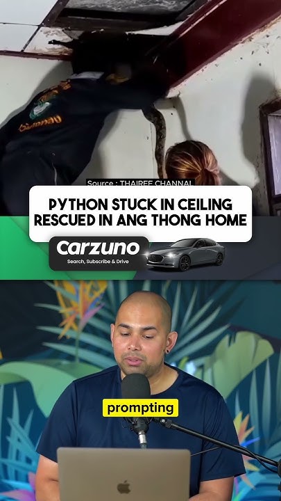Python stuck in ceiling rescued in Ang Thong home #Thailand # ...