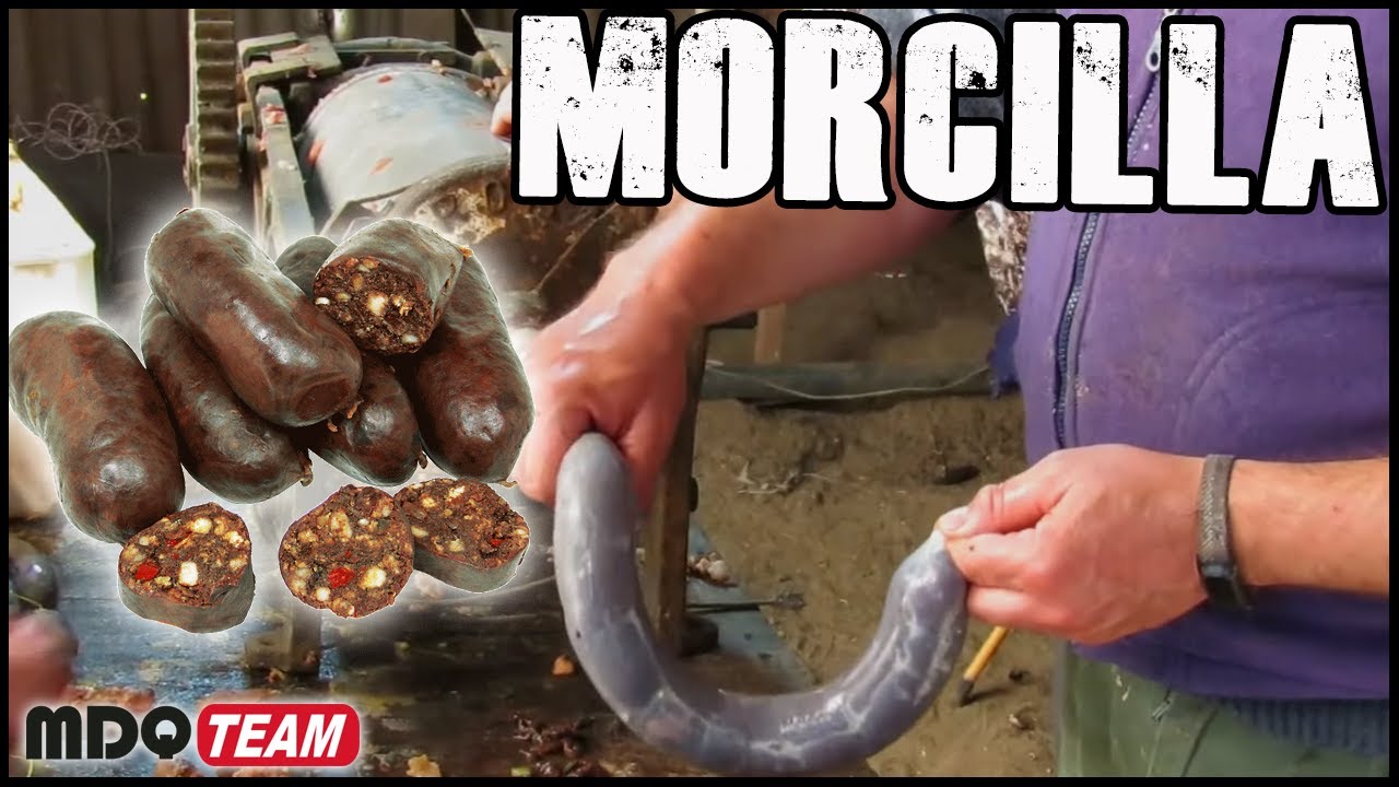 Receta de Morcilla casera - YouTube
