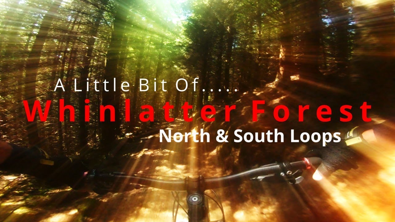 A Little bit of.......Whinlatter Altura MTB Trails - North & South ...