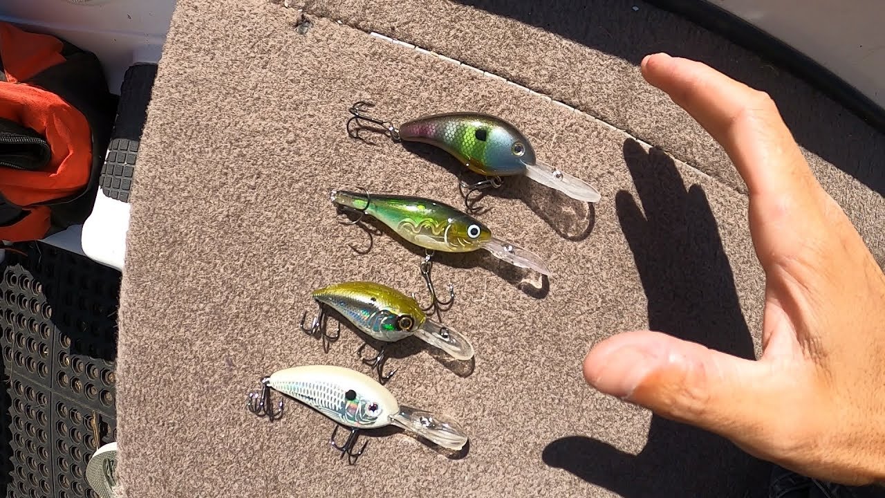 Como Usar un CURRICAN o CRANKBAIT | Pesca de LOBINA - YouTube