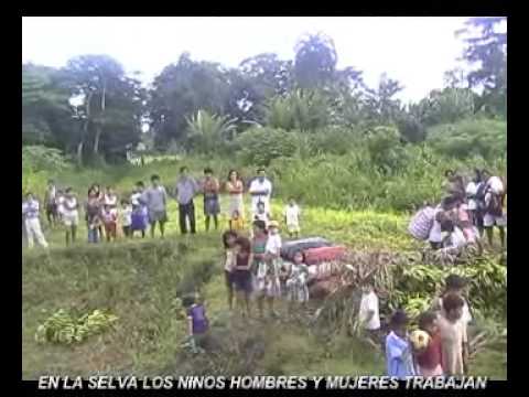 LOS NINOS QUE TRABAJAN EN LA SELVA PERUANA - YouTube