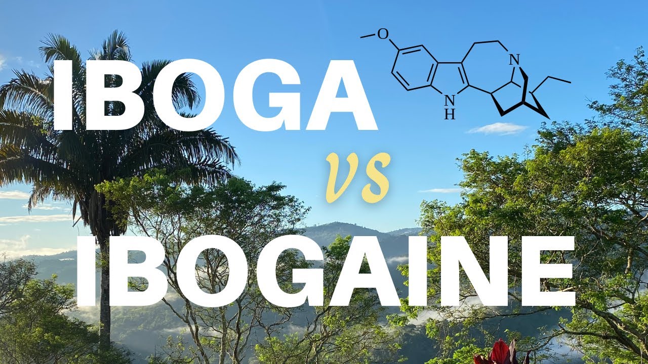 IBOGA VS IBOGAINE: A Comprehensive Guide for Choosing Treatment or ...