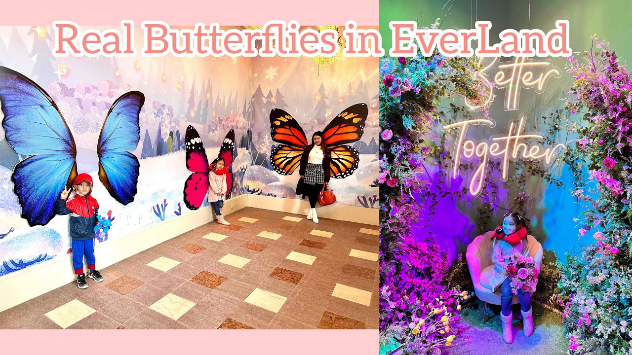 Real Butterflies in EverLand South Korea - YouTube