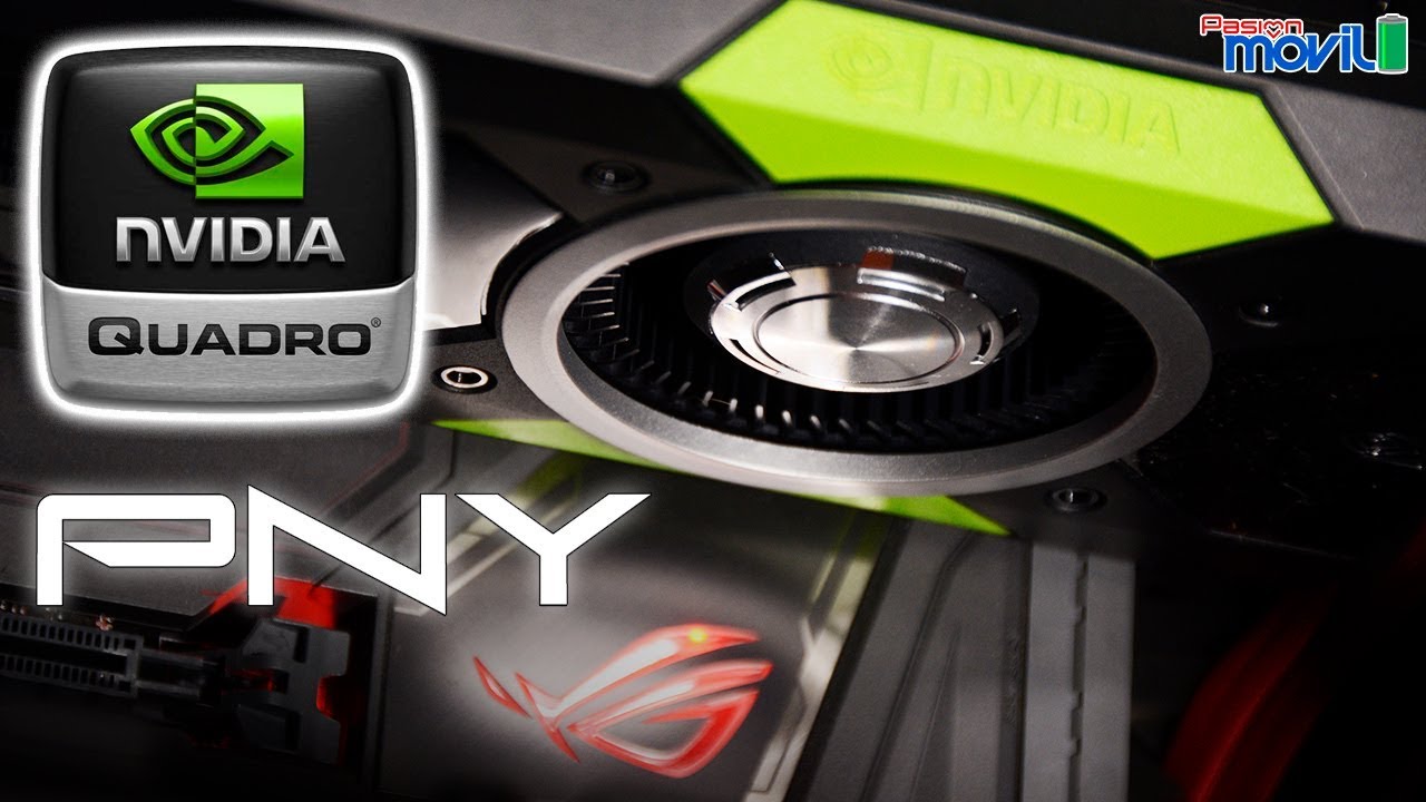 Cs900 Pny 2.5" 240 Gb Sata Iii 6 Gb/S Disco Estado Solido (Ssd ...