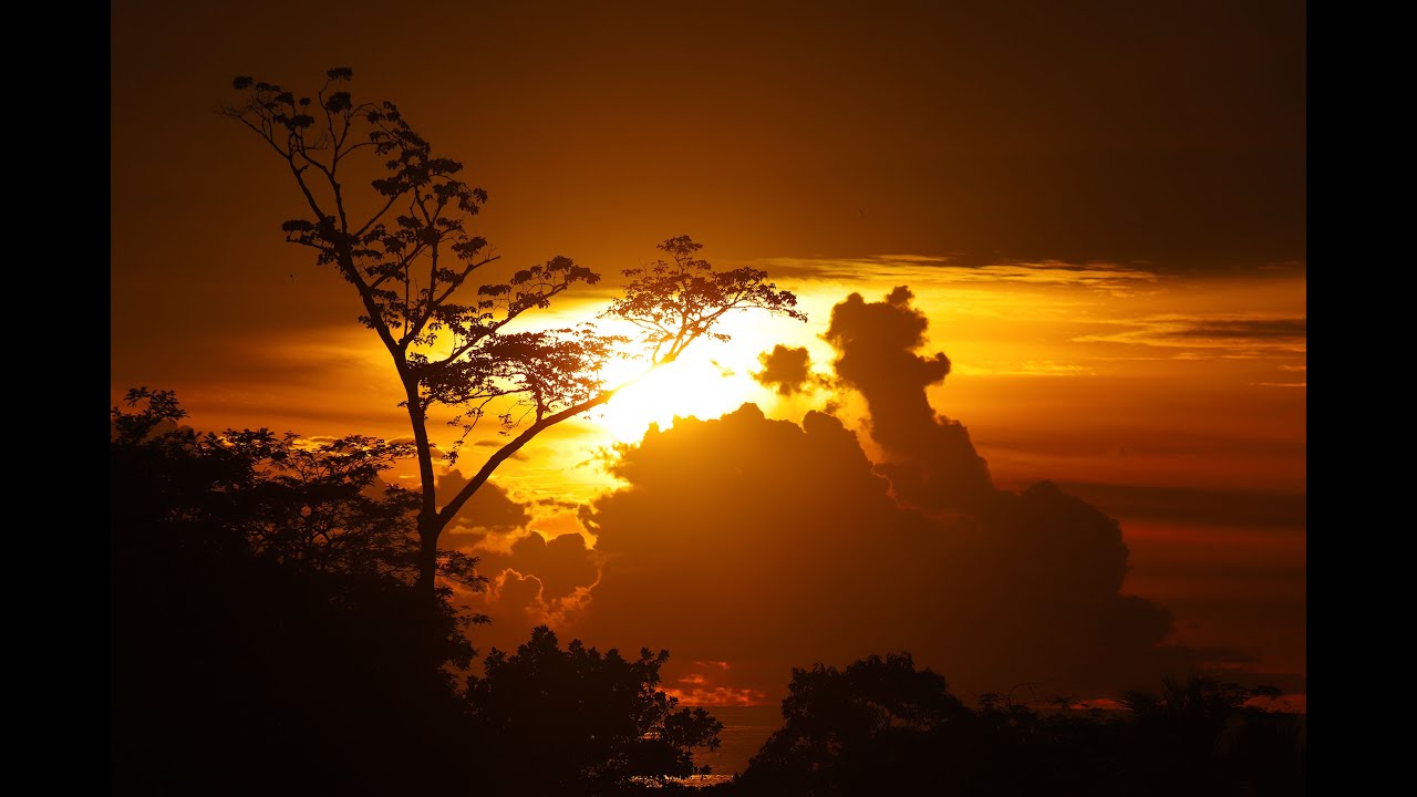 Sunset timelapse 4K compilation - YouTube