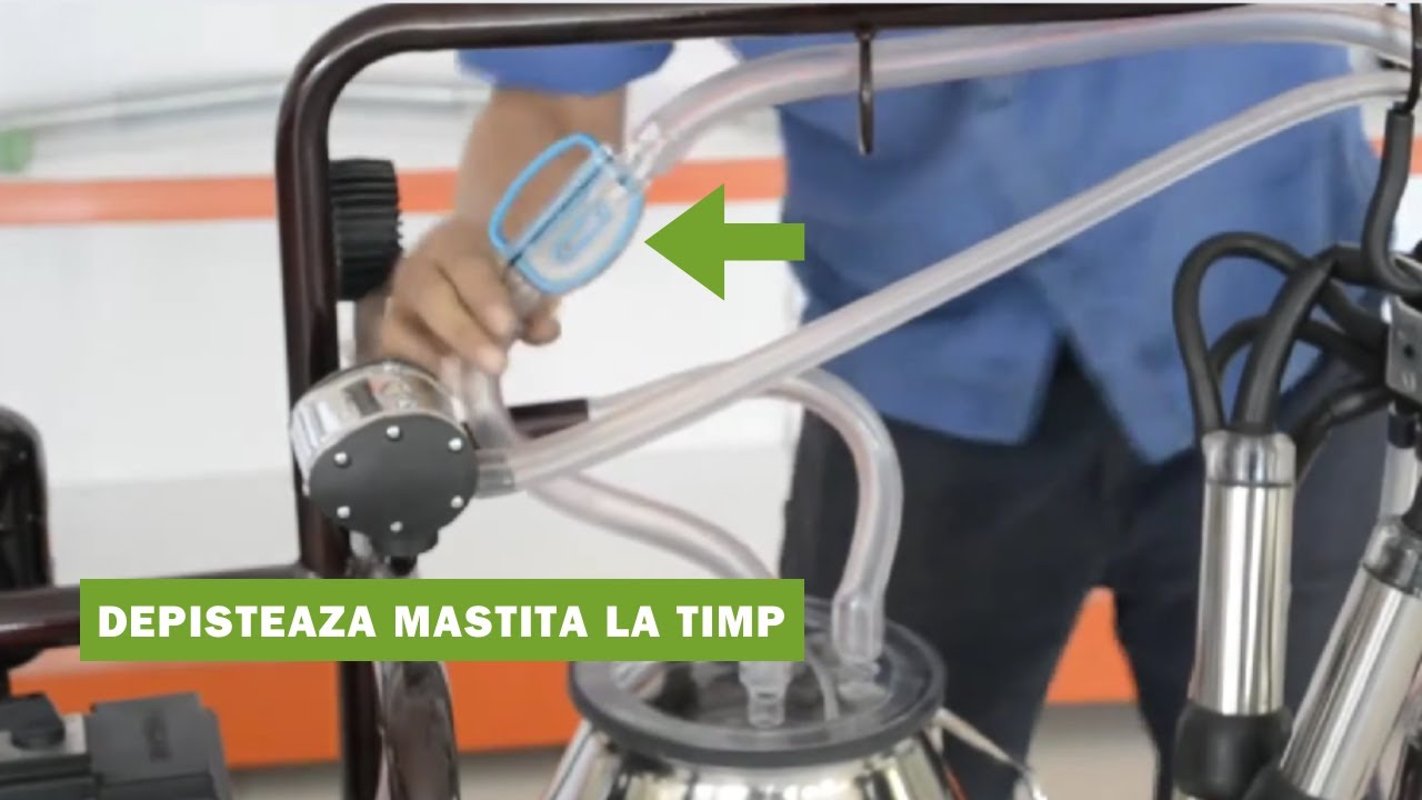 Detectorul de mastita, un accesoriu pentru fiecare aparat de muls - YouTube