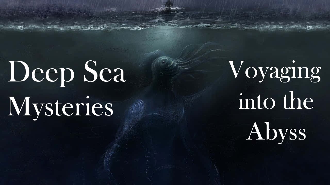 The Mysteries of the Deep Sea : Explore the hidden wonders - YouTube