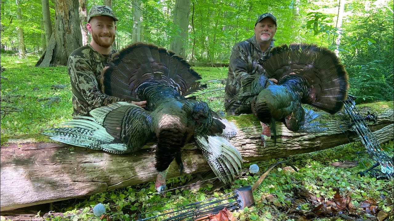 Archery Turkey Double | Color Phase Turkey - YouTube
