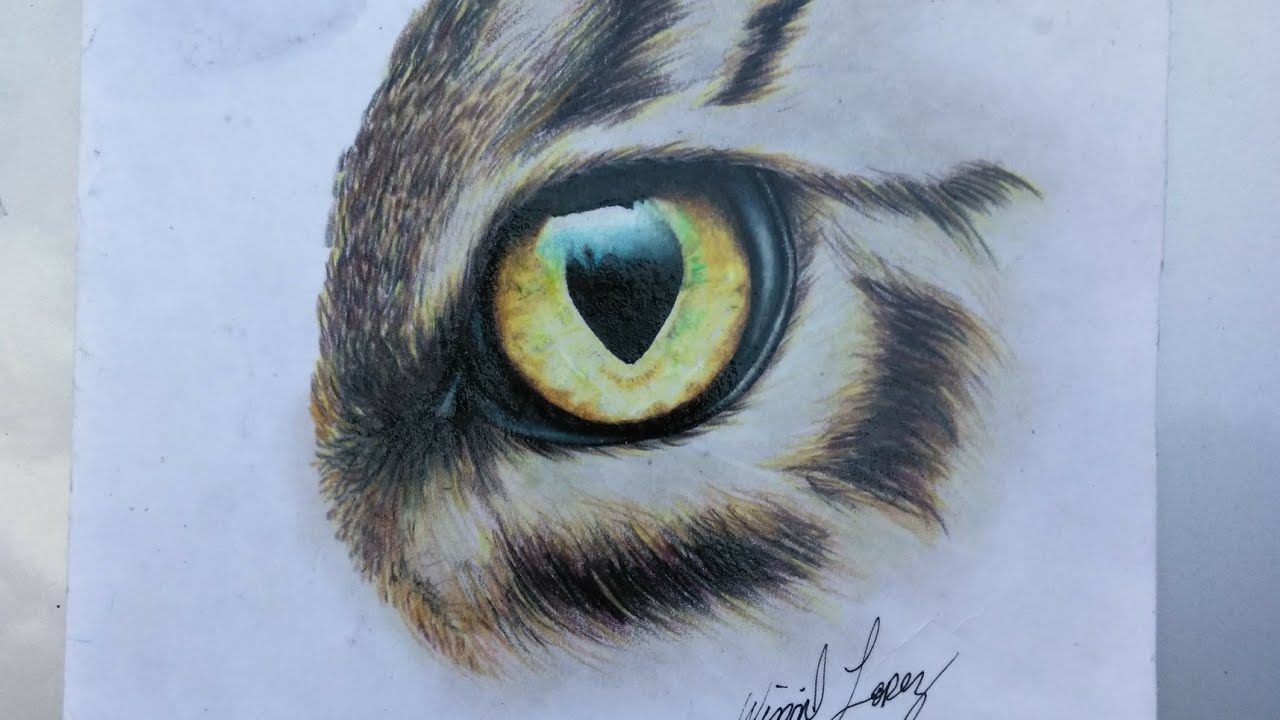 Cómo Dibujar Un Ojo De Gato A Color Youtube