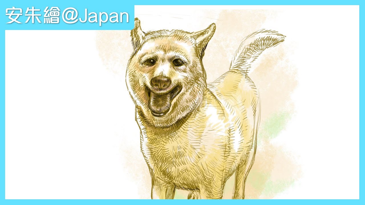[ Dog 005 ] animal sketch @ anjou.c procreate drawing - YouTube