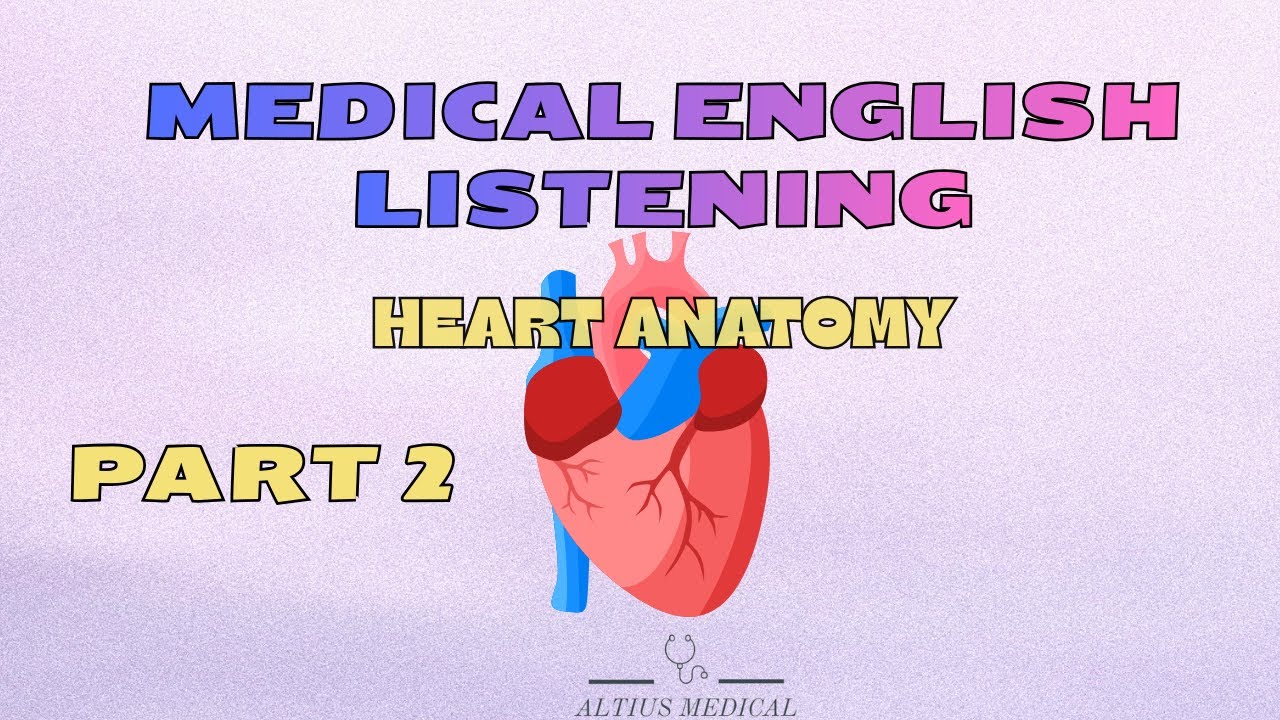Medical English Listening | Heart Anatomy Part 2 - YouTube