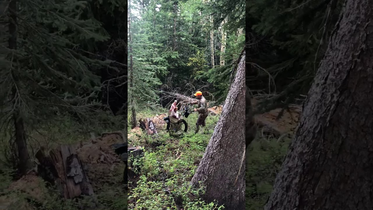 ePack Wheel hauling two moose quarters - YouTube