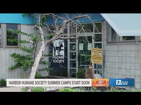 Harbor Humane Society summer camps start soon - YouTube