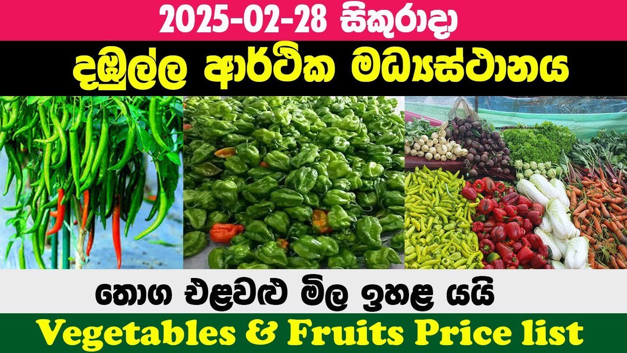 2025.02.28| දඹුල්ලේ එළවලු මිල |Today Dambulla Vegetable Price ...