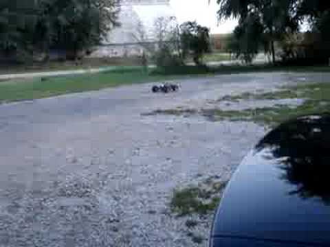 Redcat Racing Avalanche - YouTube