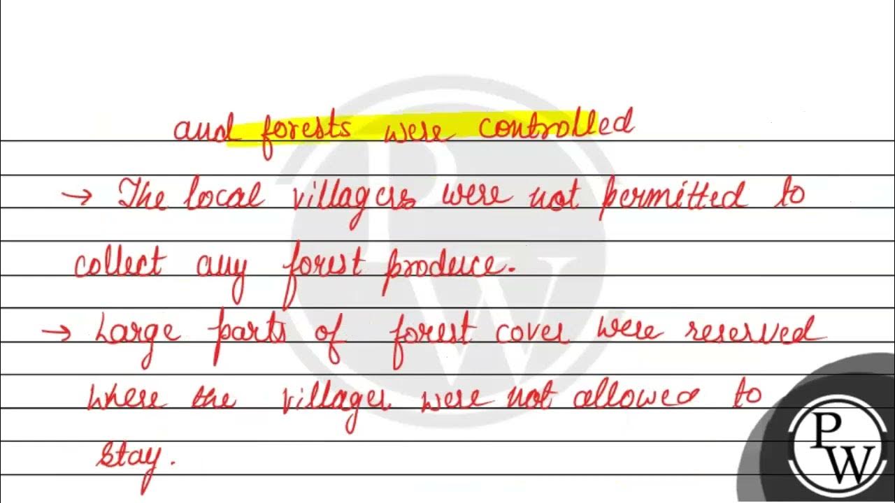 What are the similarities between colonial management of the forests in ...